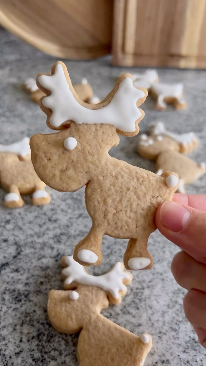 Christmas Moose Cookies - Maria's Kitchen