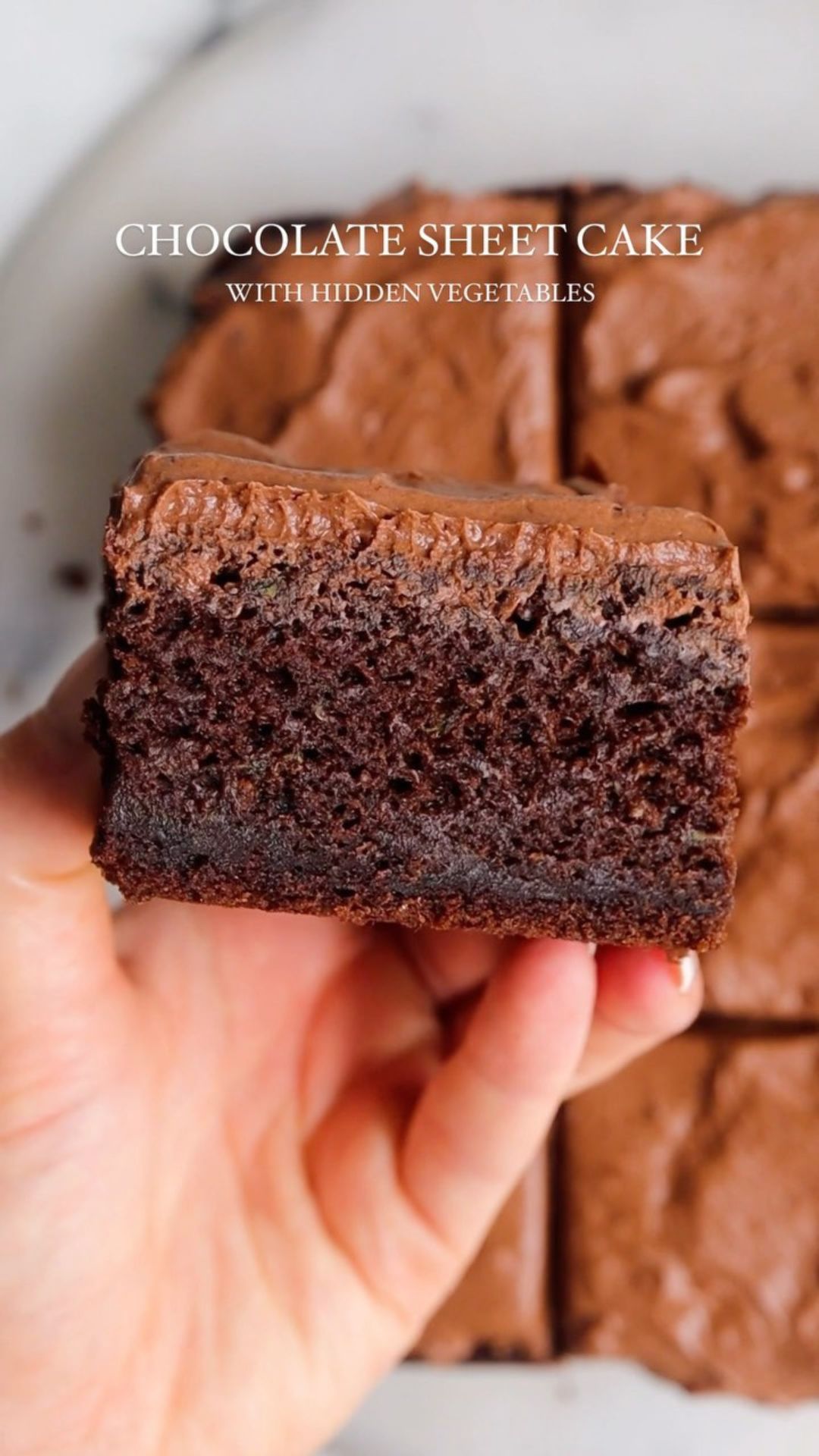 Moist & Delicious Chocolate Sheet Cake - Maria's Kitchen