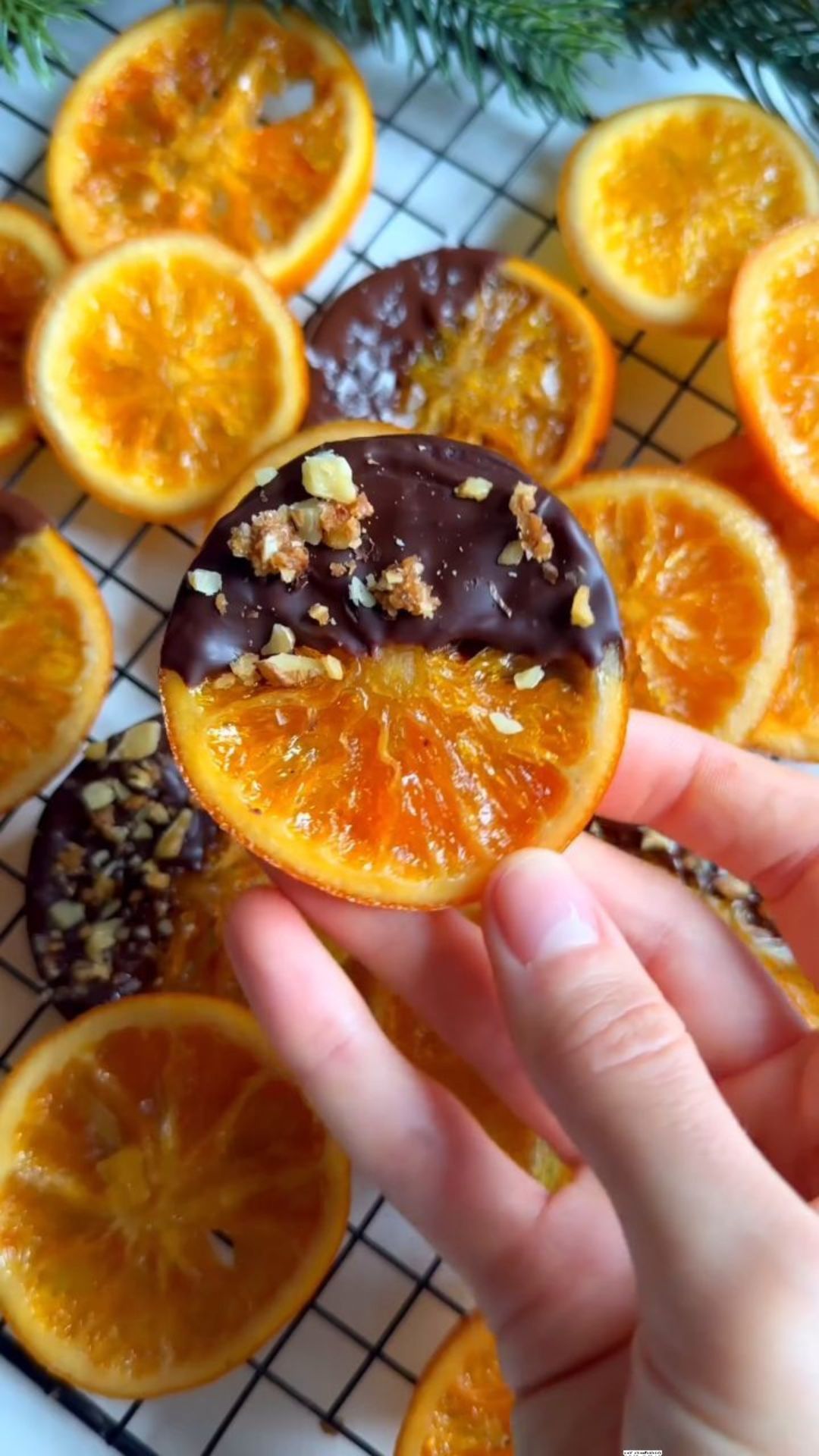 Chocolate-Dipped Candied Oranges - Maria's Kitchen
